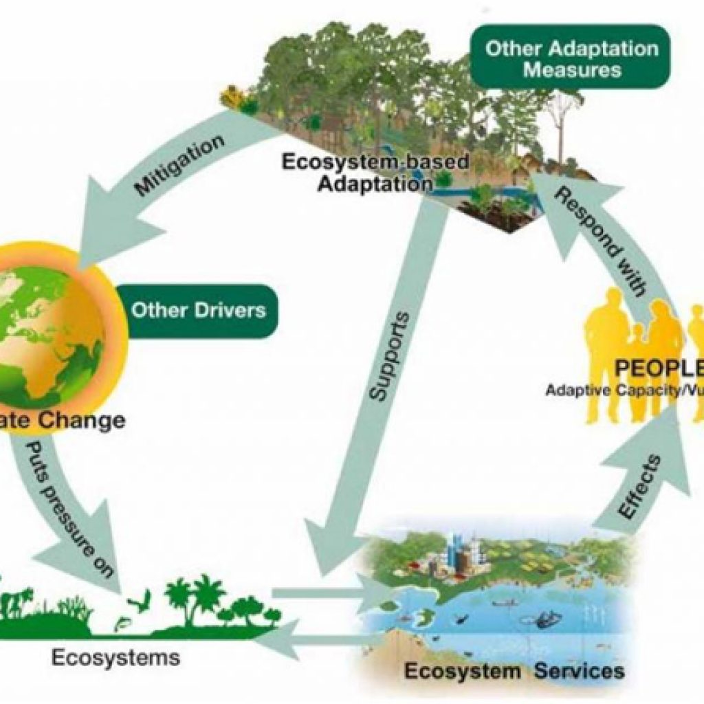 Ecosystem-Based-Adaptation | Caribbean American Weekly Newspaper