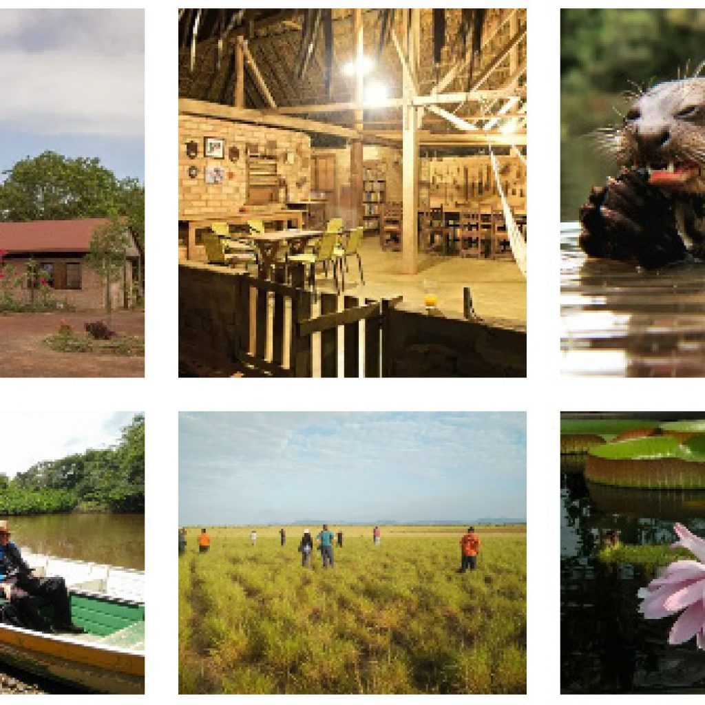 Karanambu-Lodge | Caribbean American Weekly Newspaper