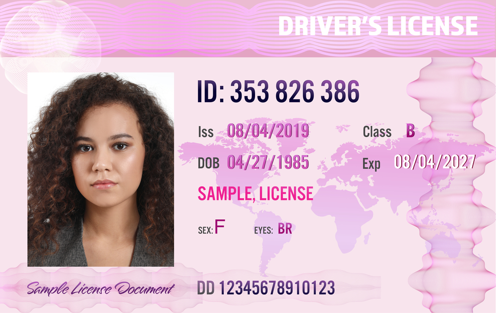 Providing Driver’s Licenses to Undocumented Immigrants Improves Birth ...